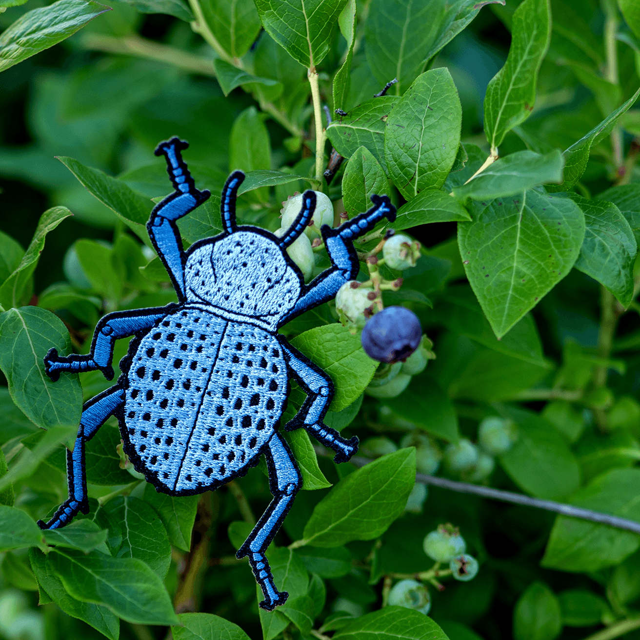 Blue Death Feigning Beetle Iron-on Patch