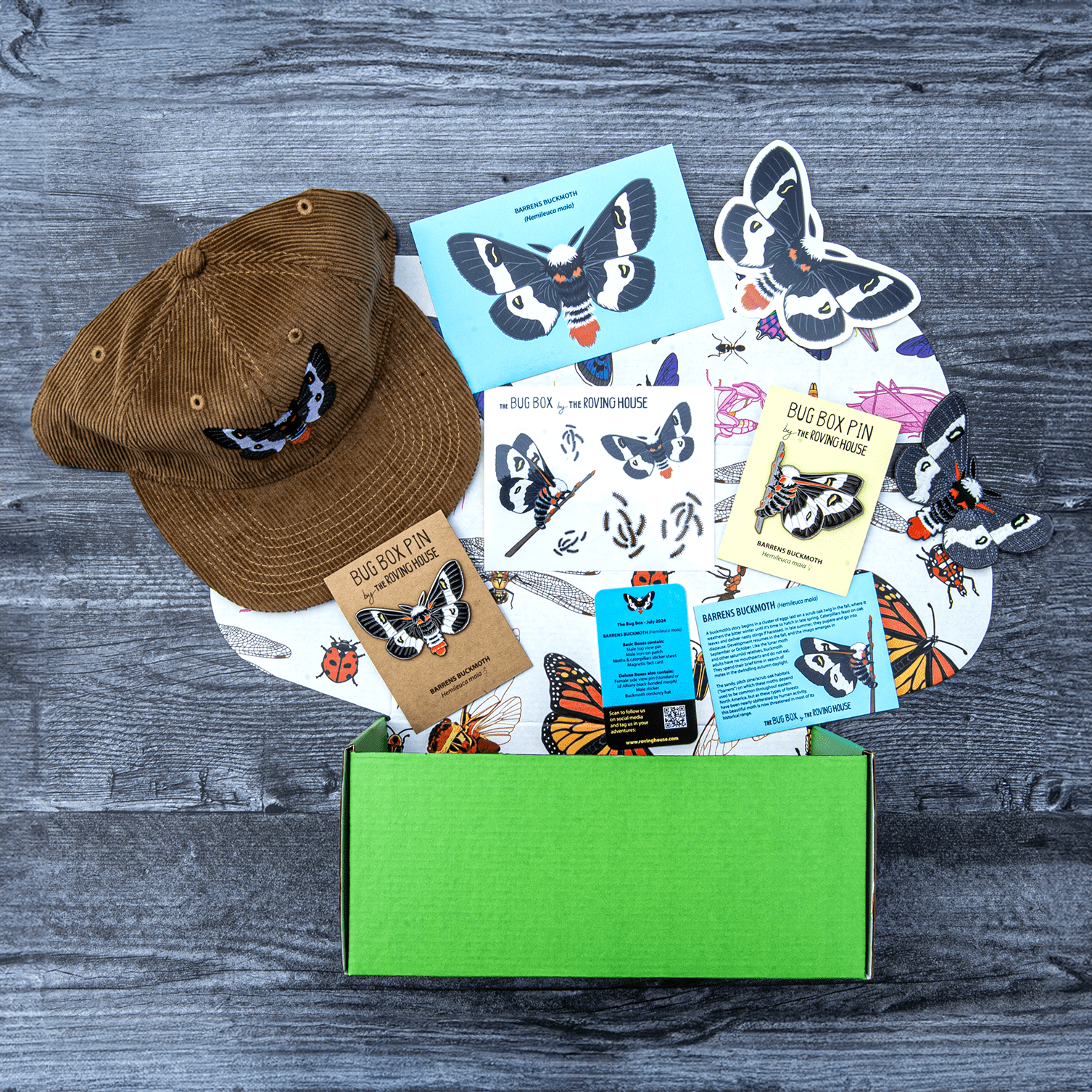 Barrens Buckmoth Bug Box