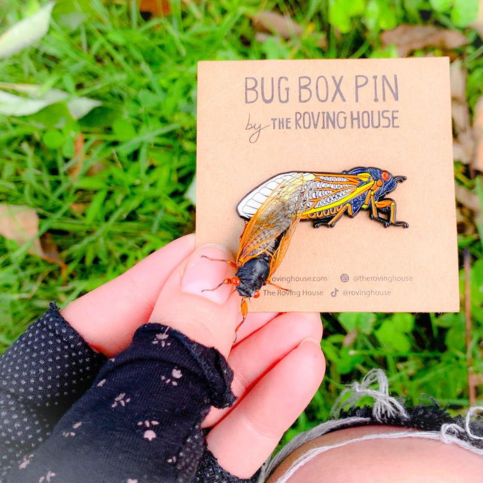 The Bug Box
