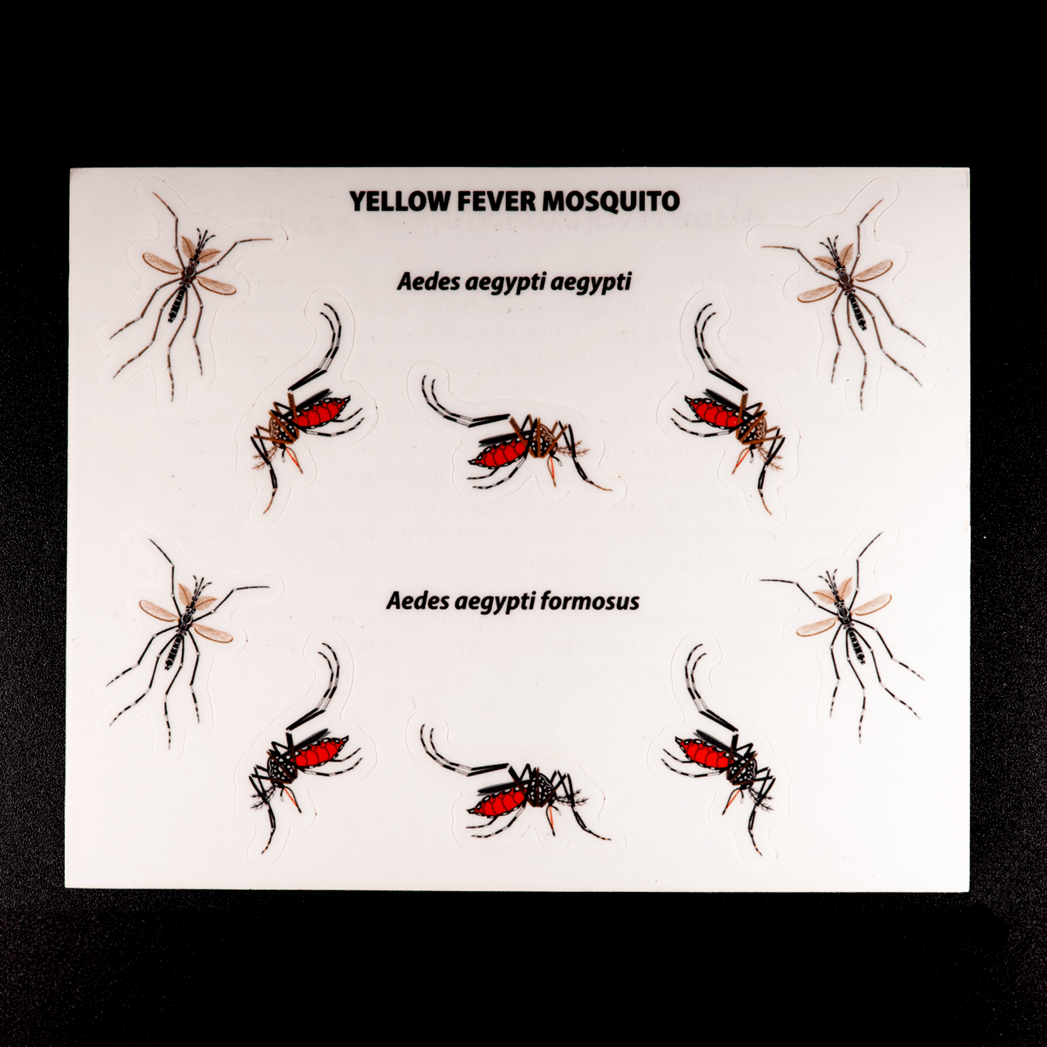 Yellow Fever Mosquito Sticker Sheet