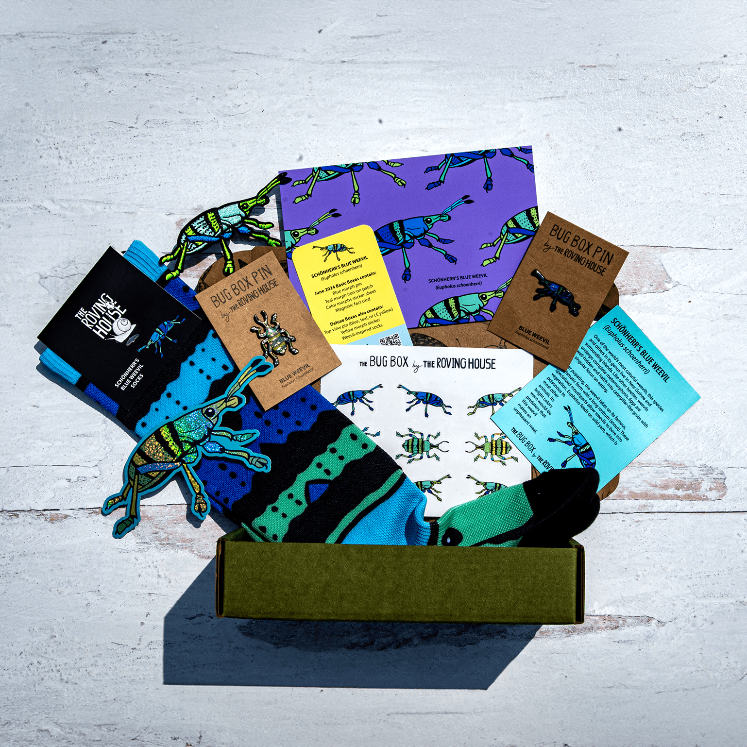 Schoenner's Blue Weevil Bug Box