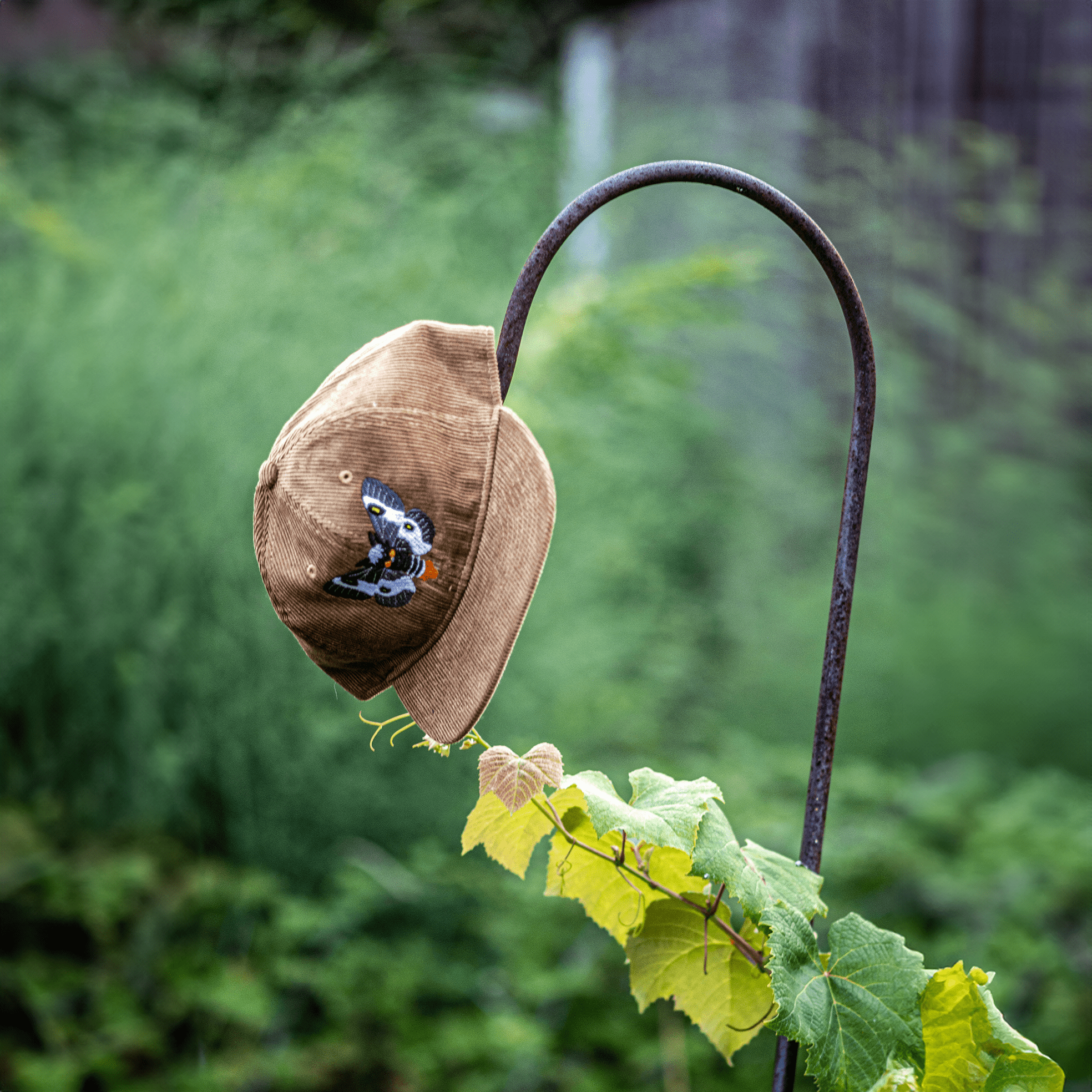 The Barrens Buckmoth Corduroy Hat