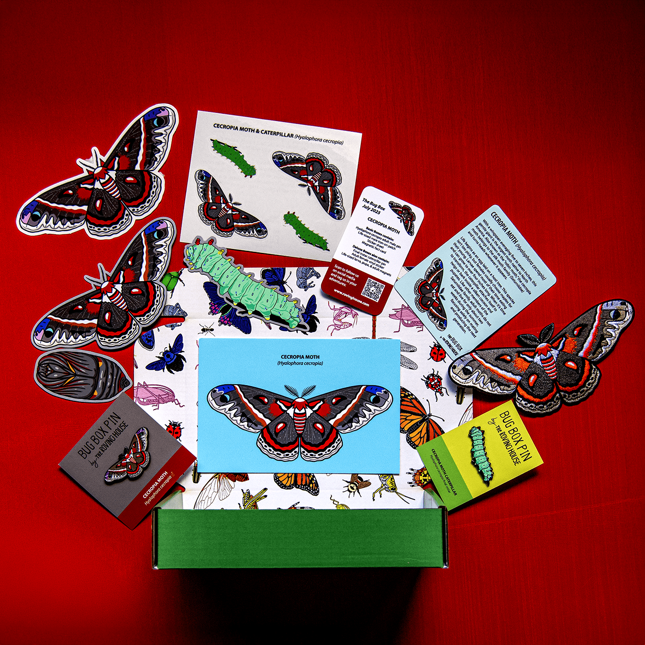 Cecropia Moth Bug Box