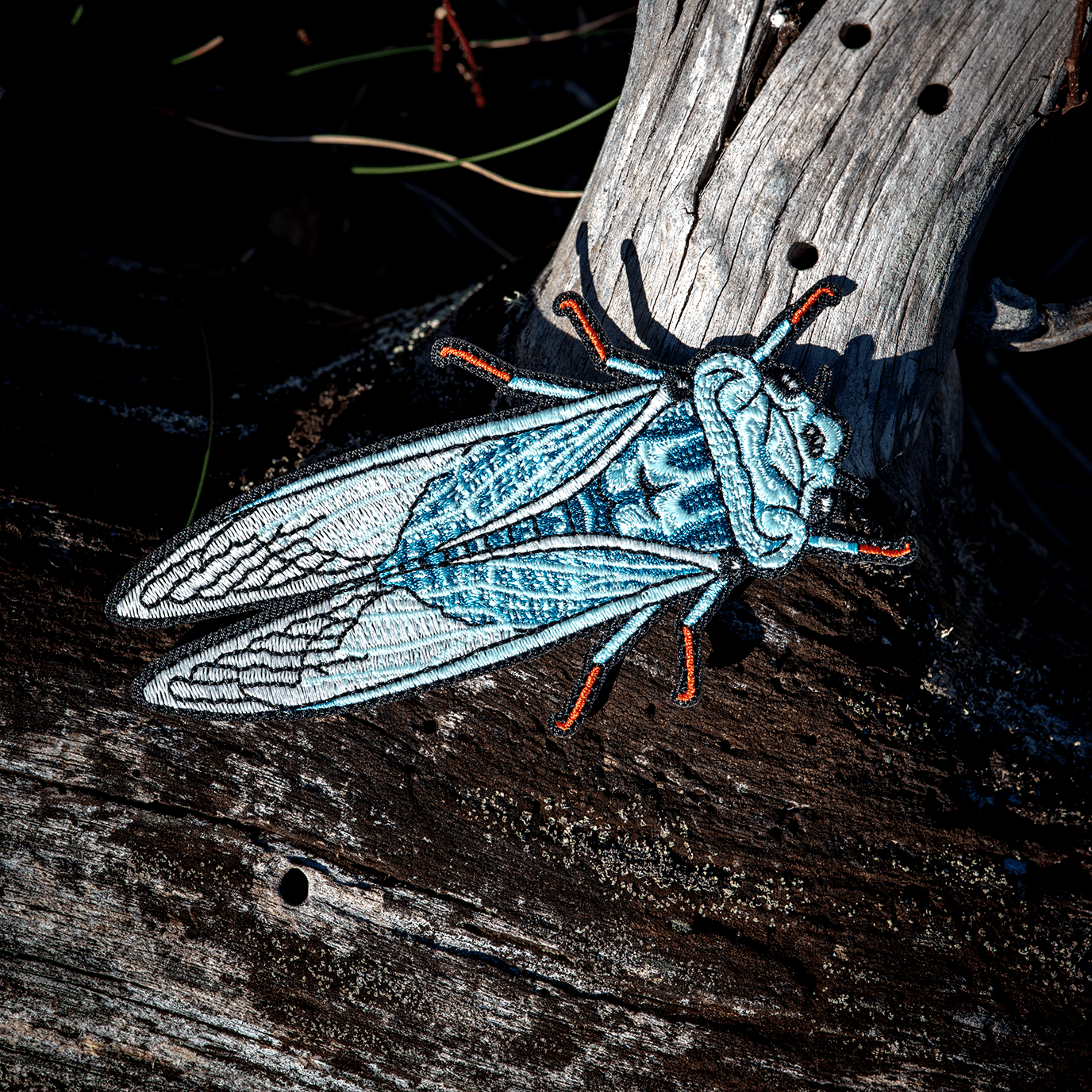 Blue Moon Cicada Patch