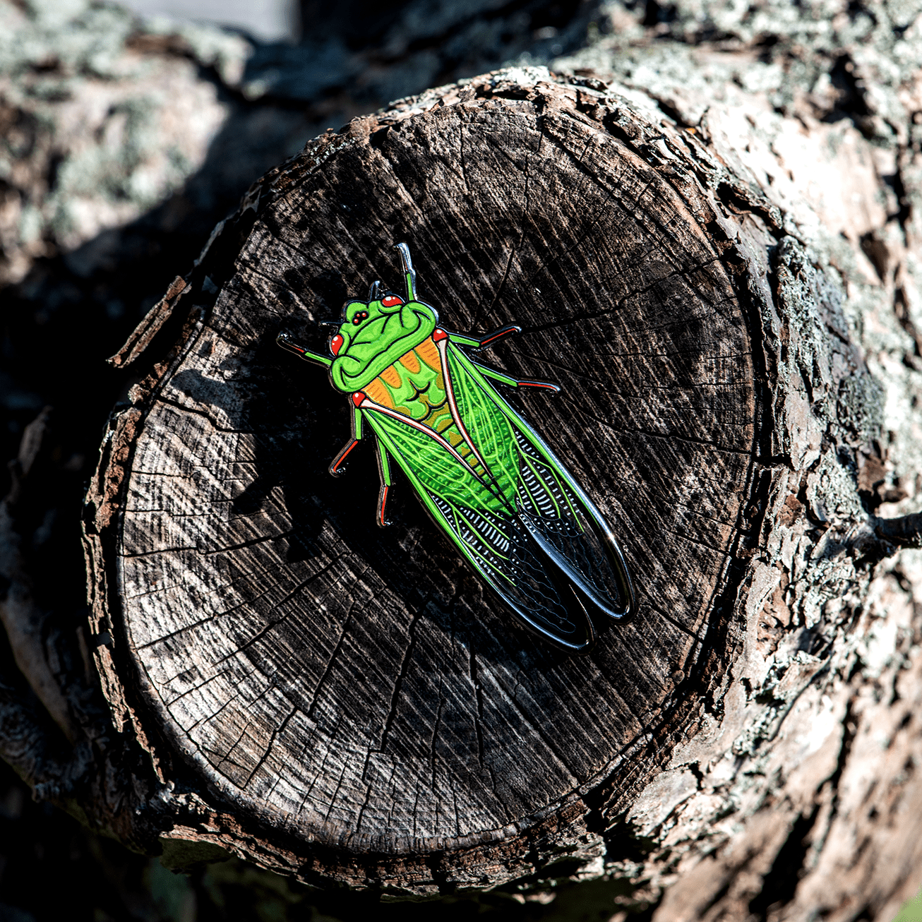 Greengrocer Cicada Enamel Pin