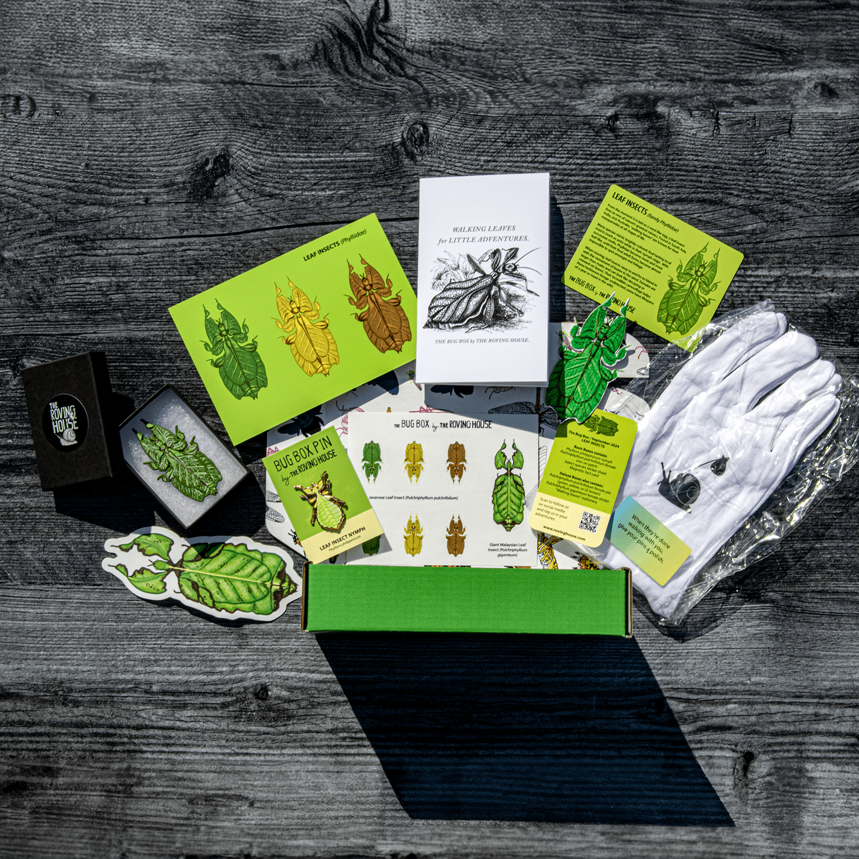 Walking Leaf Insect Bug Box