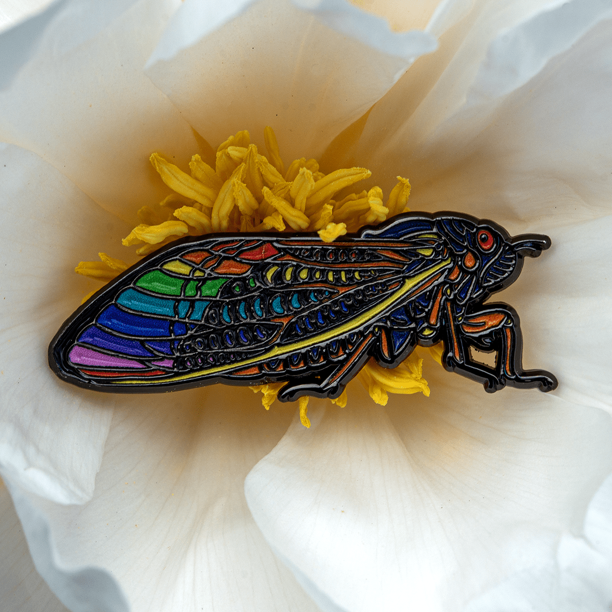 Periodical Cicada Enamel Pin | 2024 Rainbow Edition