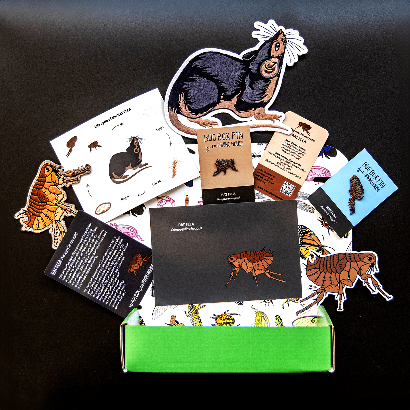 Rat Flea Bug Box