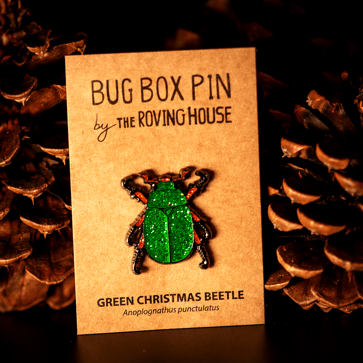 December 2023 Bug Box (Christmas Beetles)
