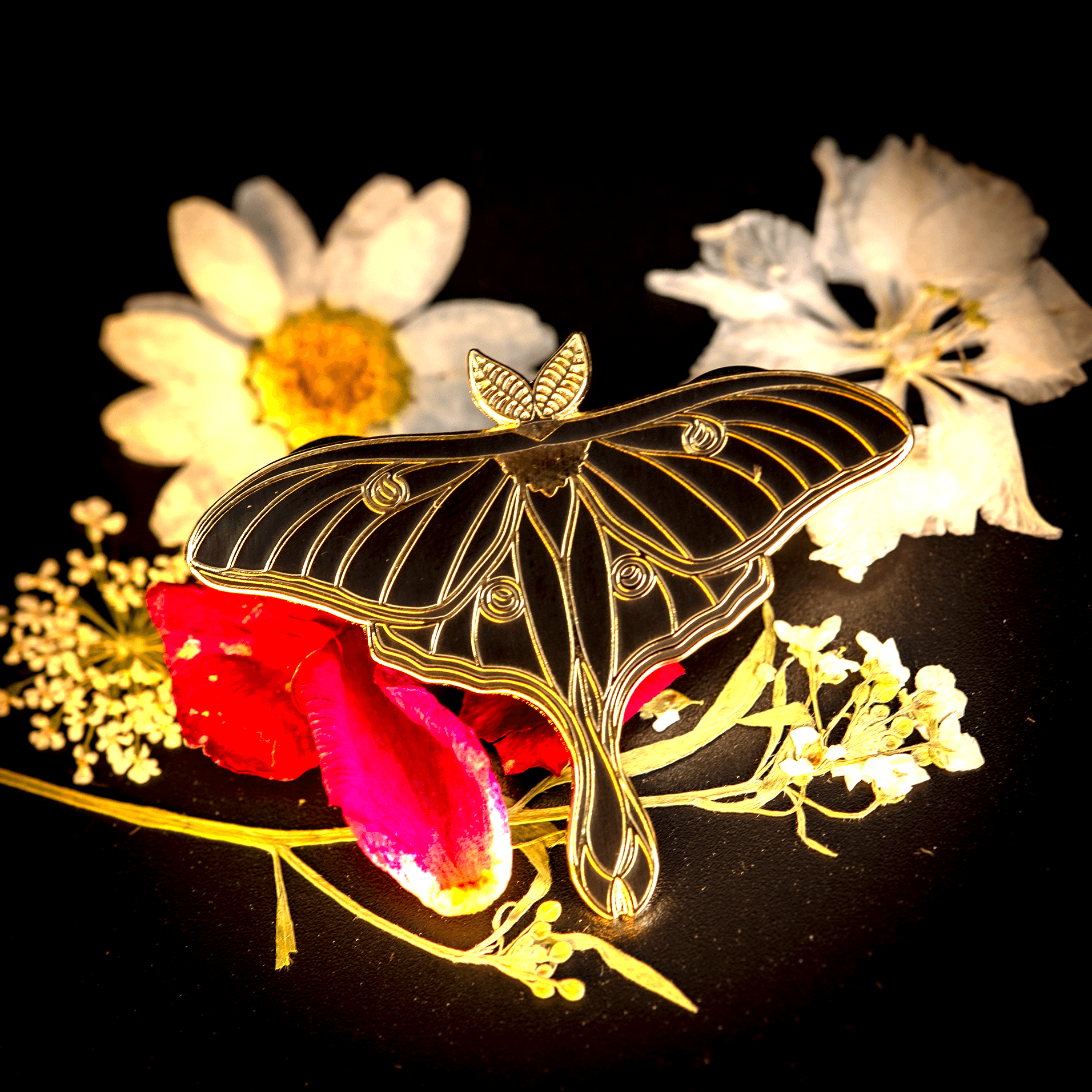 Blackout Luna Moth | Gold Club Pin