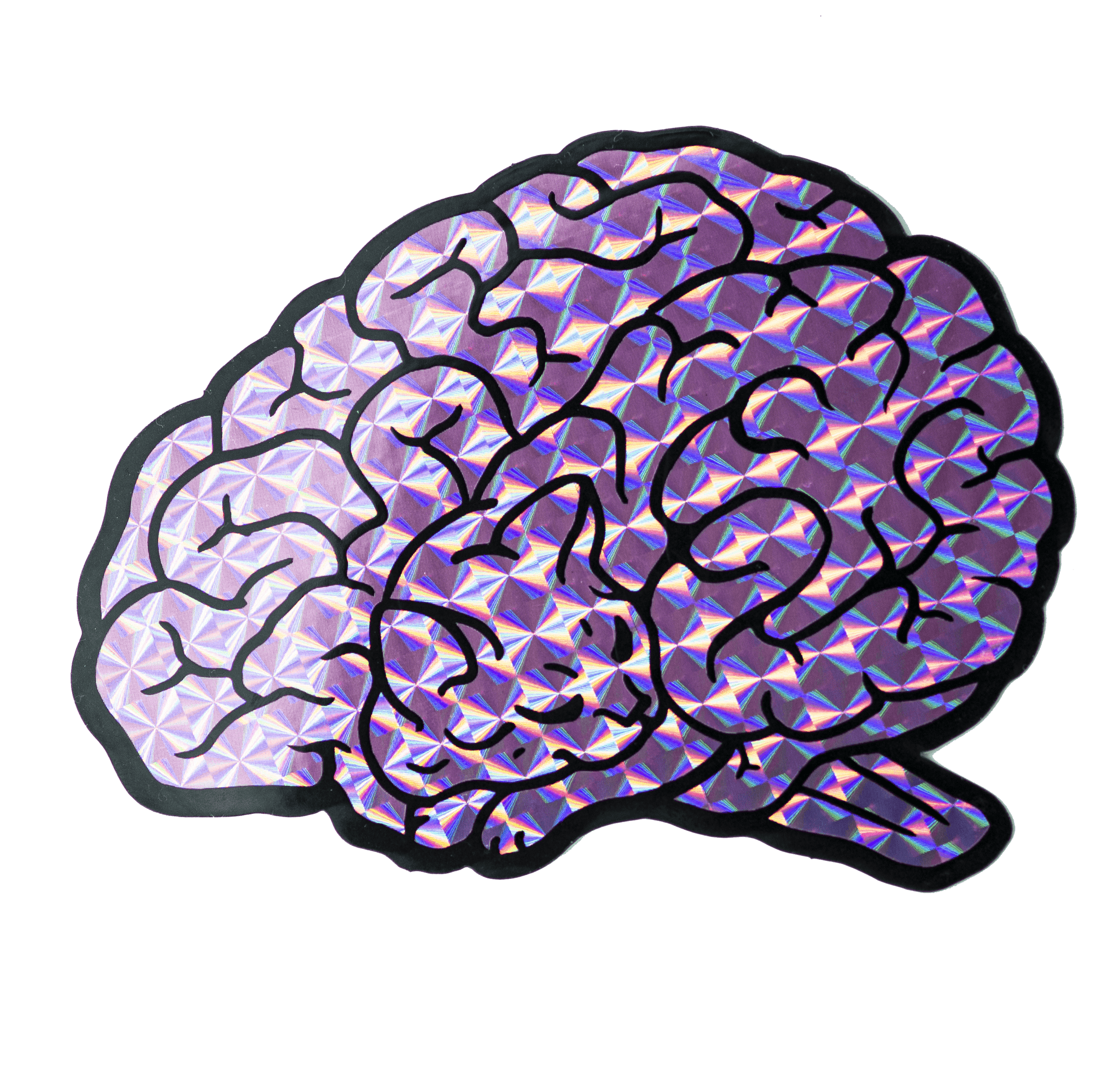 Cat Brain Prismatic Sticker