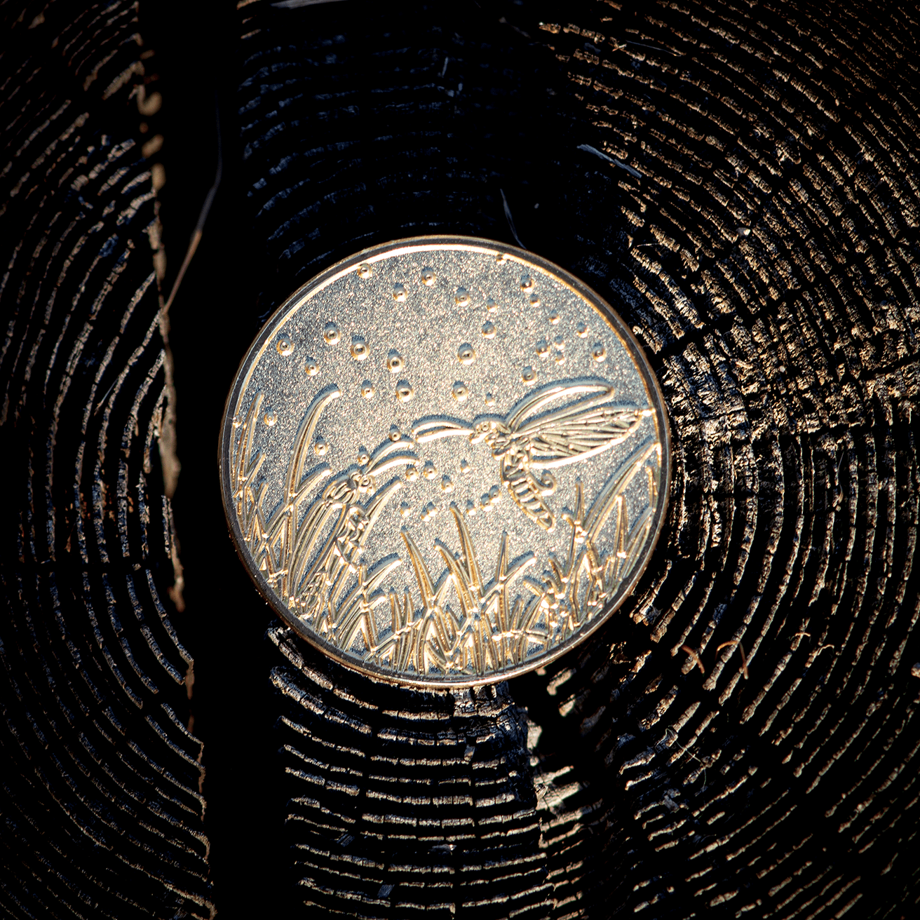 Firefly Pair Pin | Raw for Modding