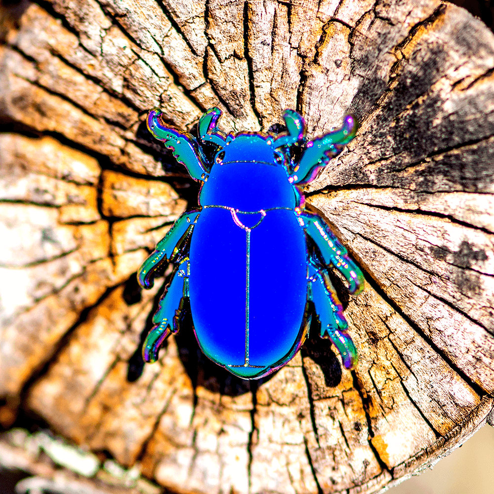 Rainbow Jewel Scarab Beetle Pin