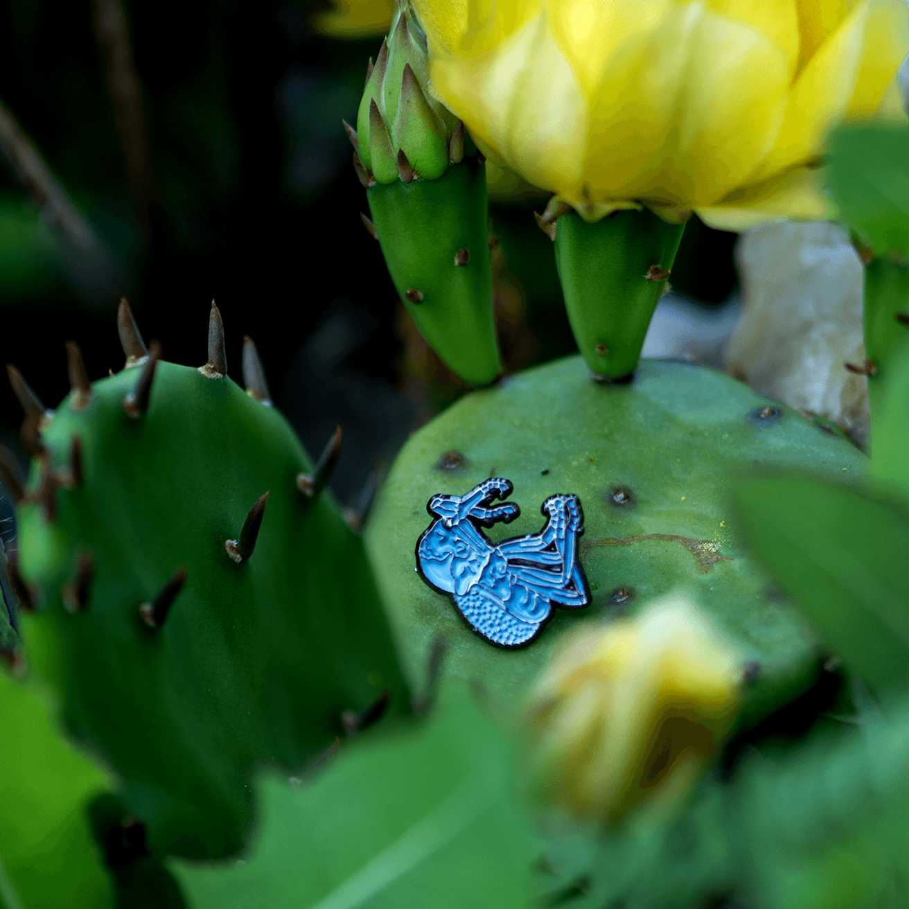 Blue Death Feigning Beetle "Playing Dead" Enamel Pin