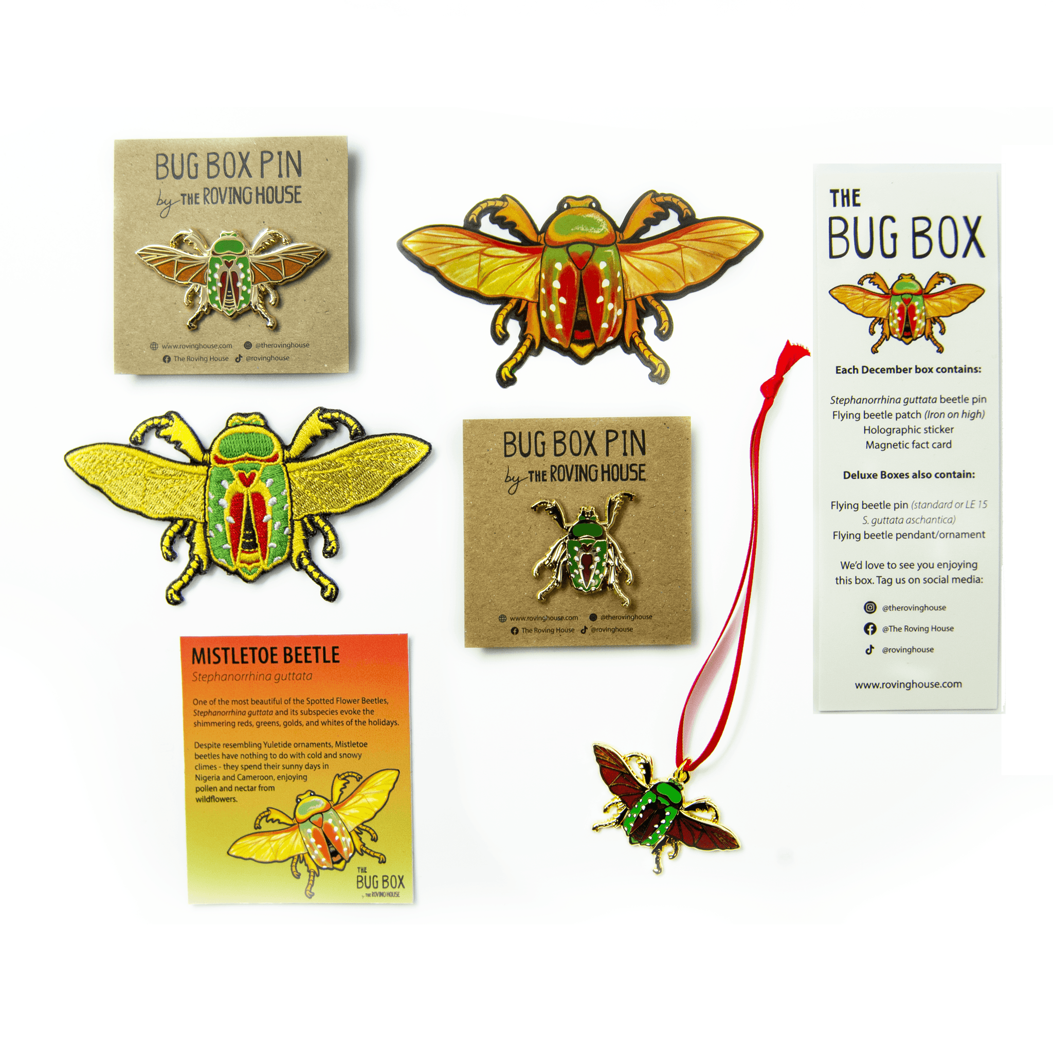 December 2021 Bug Box (Mistletoe Beetle)