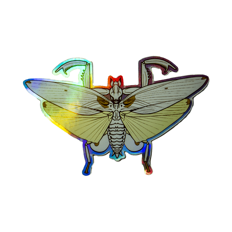 Orchid Mantis Sticker