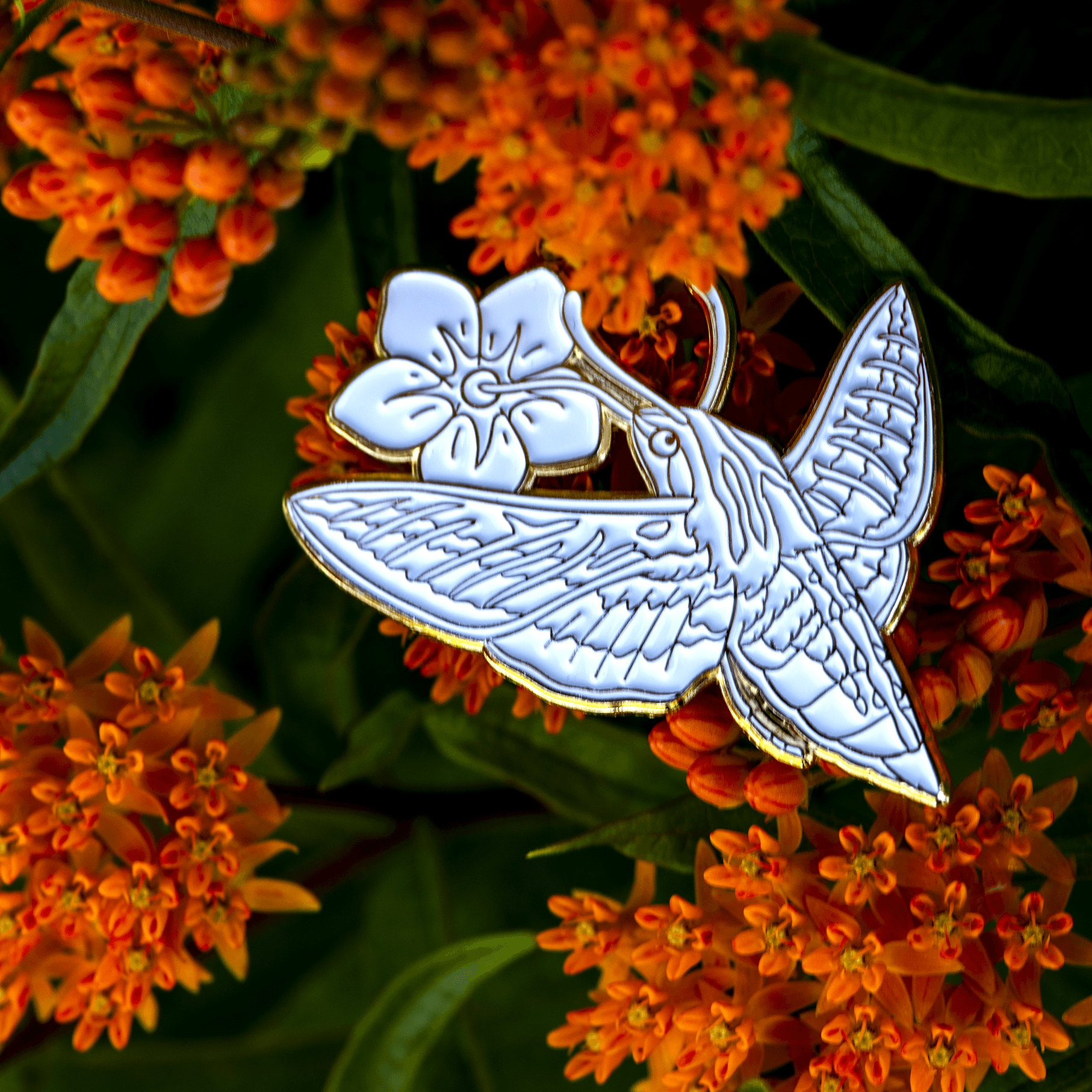 Whiteout Sphinx Moth Pin | Gold Club Pin